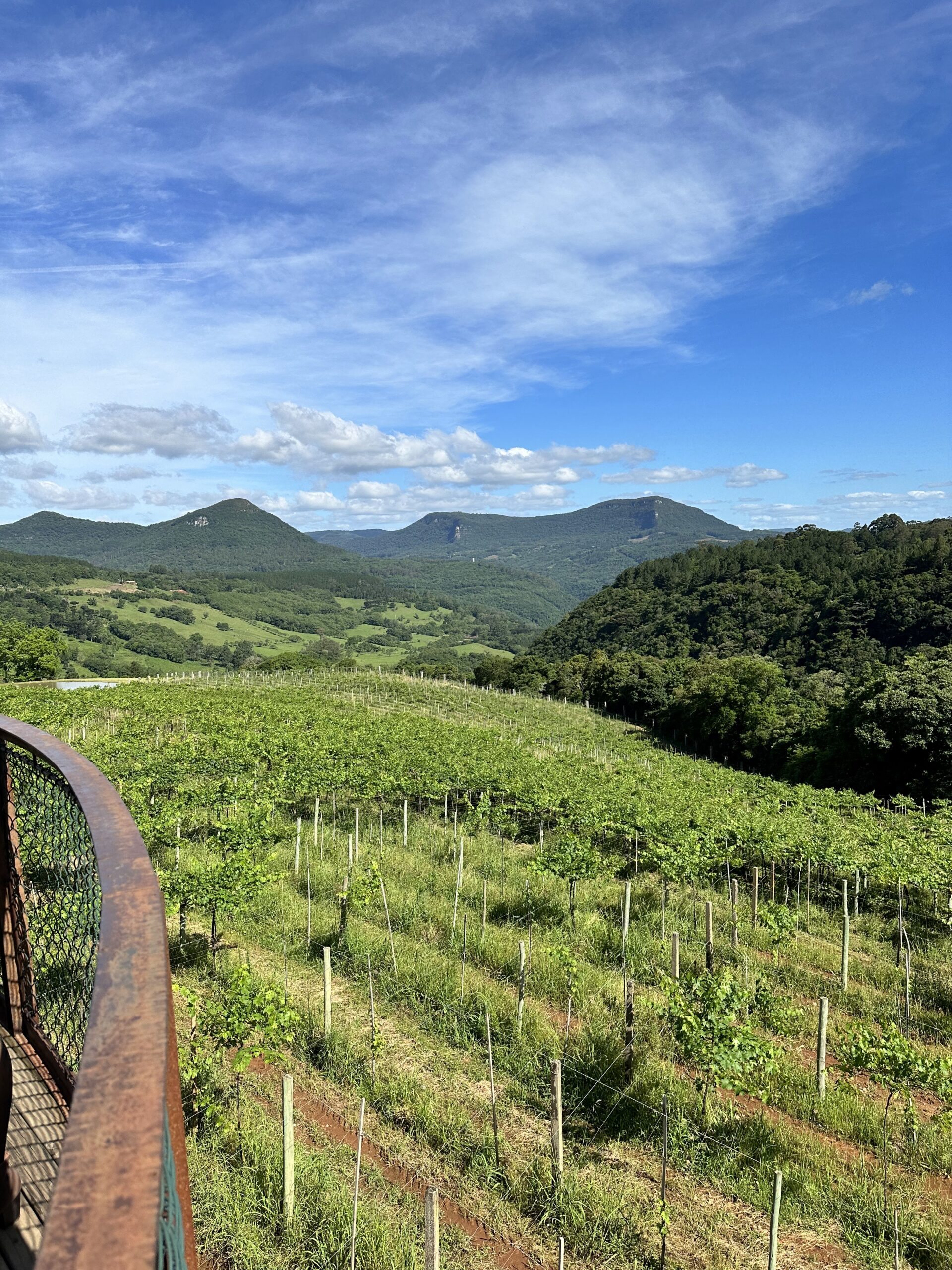 Visita guiada Vinícola Jolimont: vale a pena em 2025?